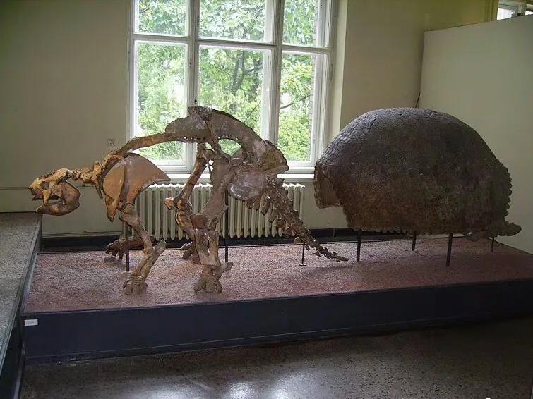Prehistoric tanks", their predecessors in this world〗 - iMedia