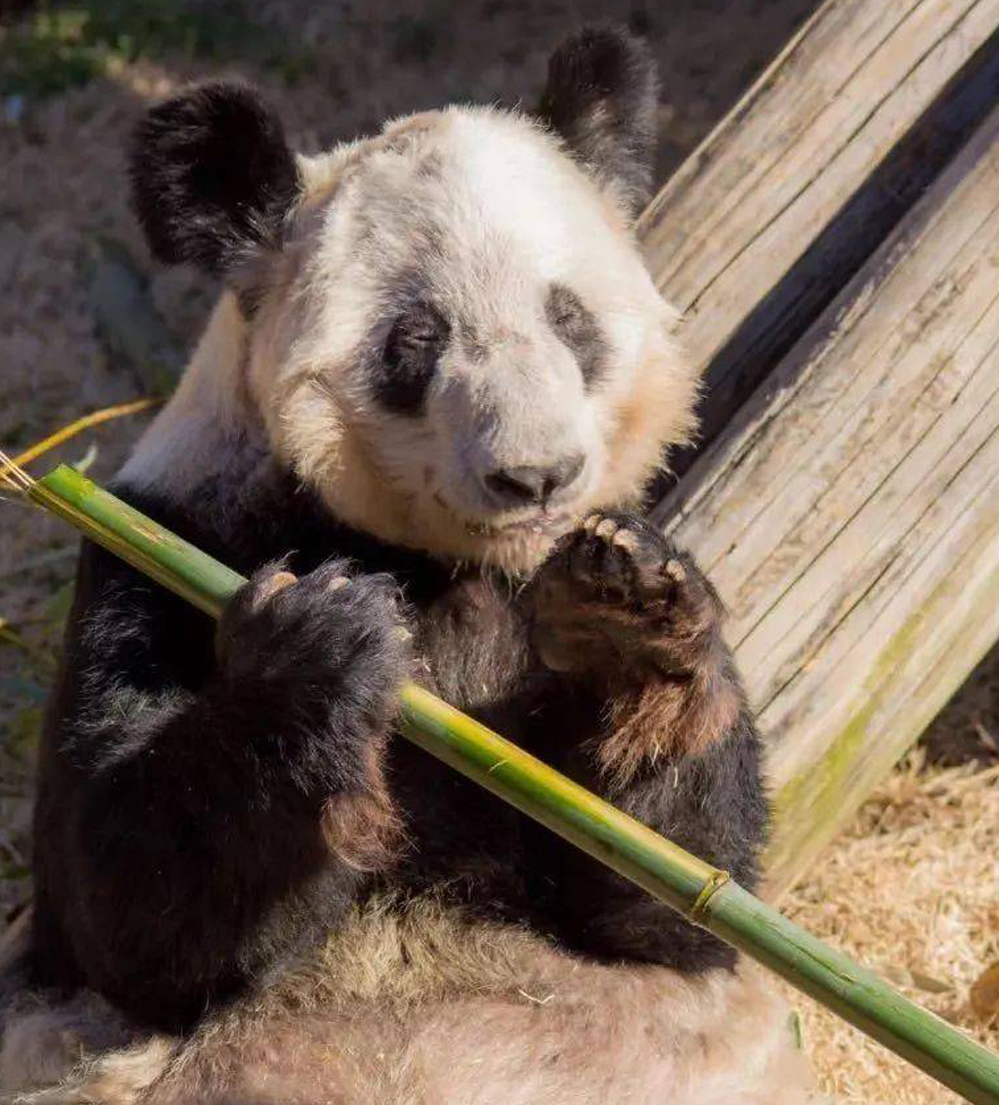 Our experts went to the United States to assist in the care of the ...