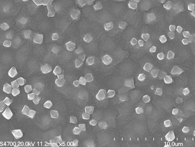 Solvent and crystallization temperature, how to optimize the ...
