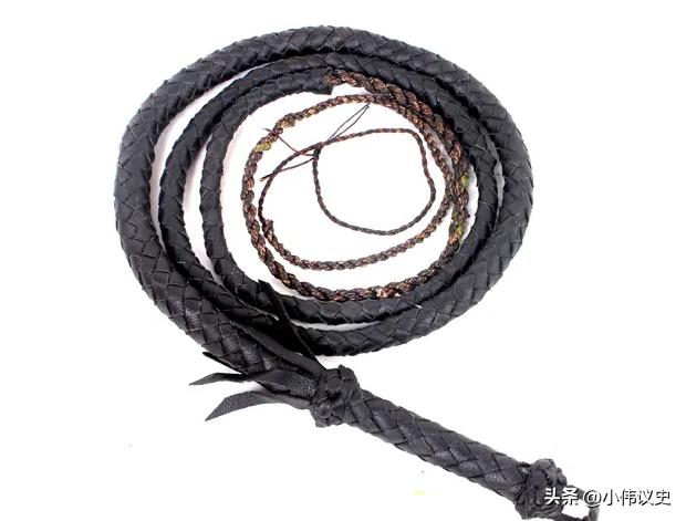 Analysis on the Evolution History of Weapon Whip: From Ancient Mystery ...
