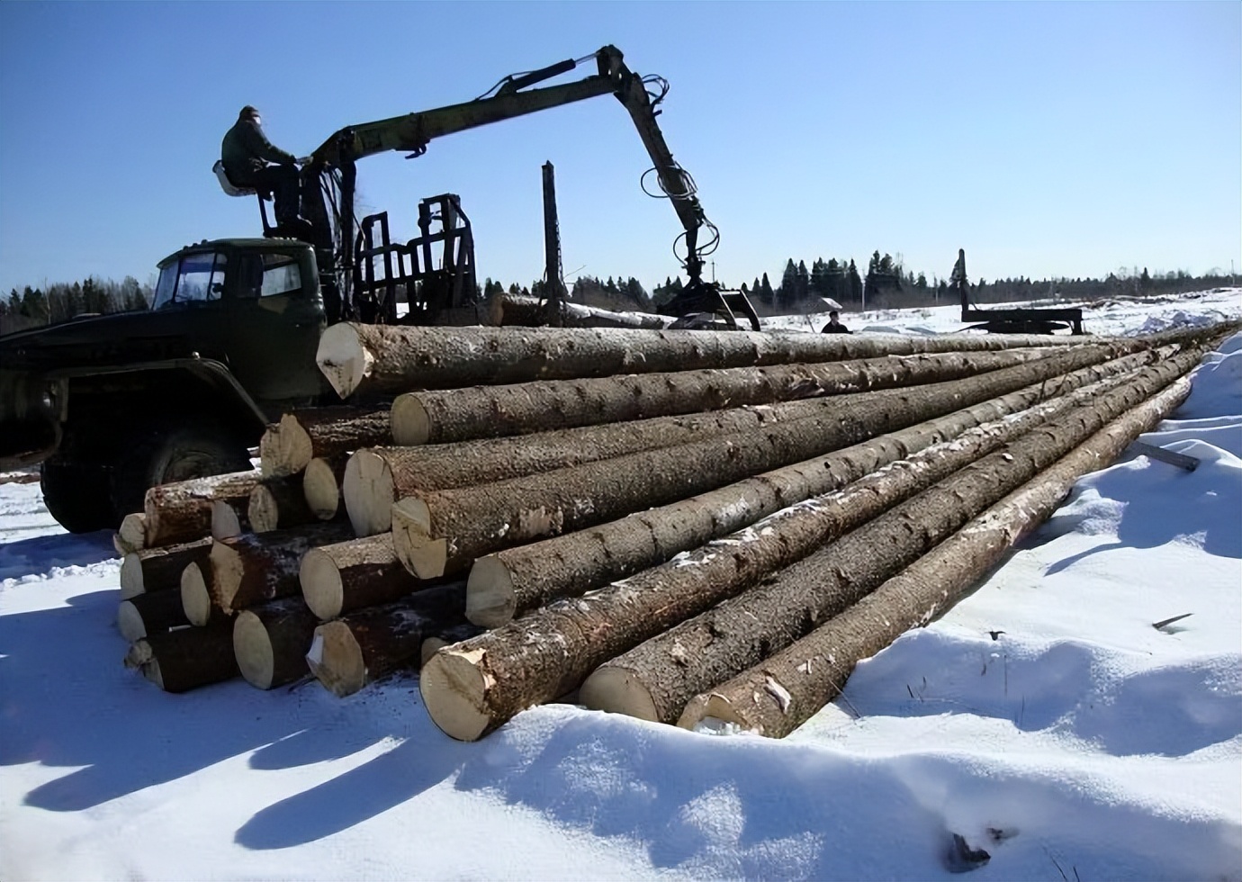 Rising Russian timber exports to China face competition from Belarusian ...