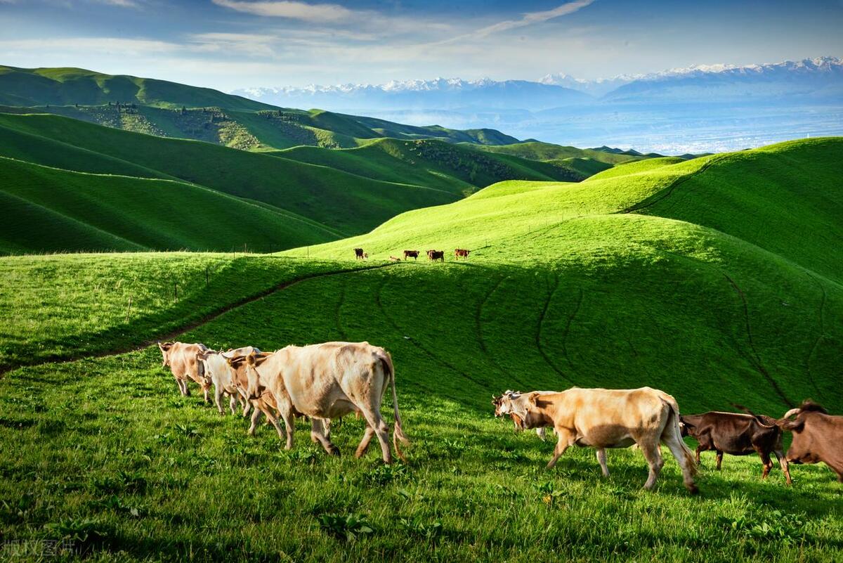 The 10 most worthwhile places to visit in May, each of which is ...