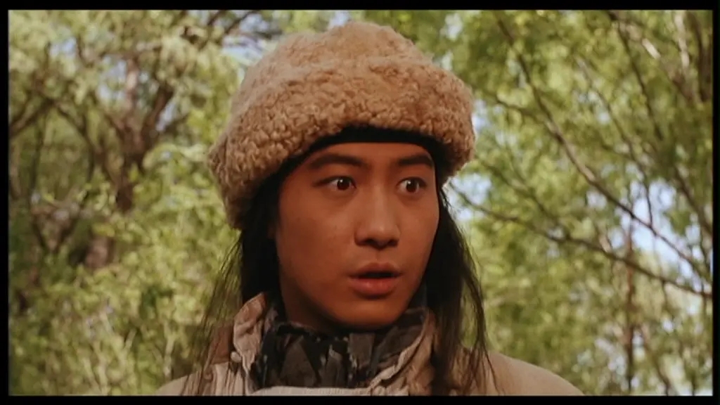 "Flying Fox Story" all played "Hu Fei", Qin Junjie, Liming, Huang Rihua ...