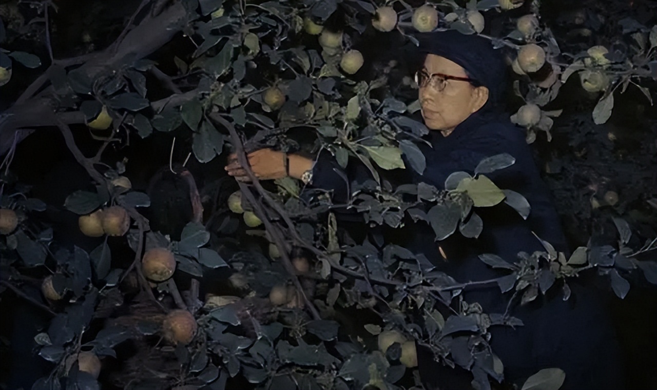 Jiang Qing's Rare Labor Photo: A few hours after this photo was taken ...