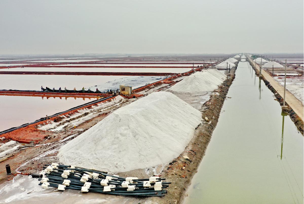 Fukushima nuclear waste water is discharged into the sea, and Koreans ...