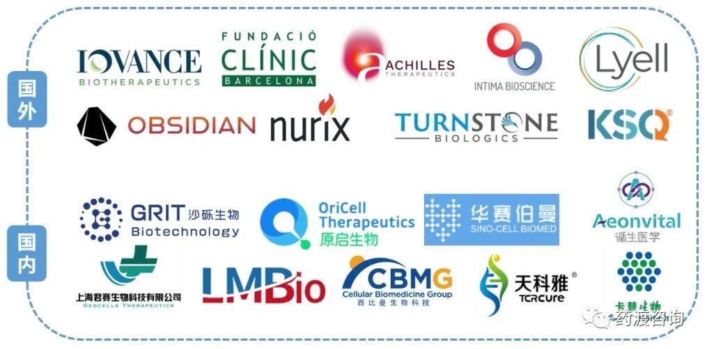 Solid Tumor Treatment Rising Star - TIL Therapy - iNEWS