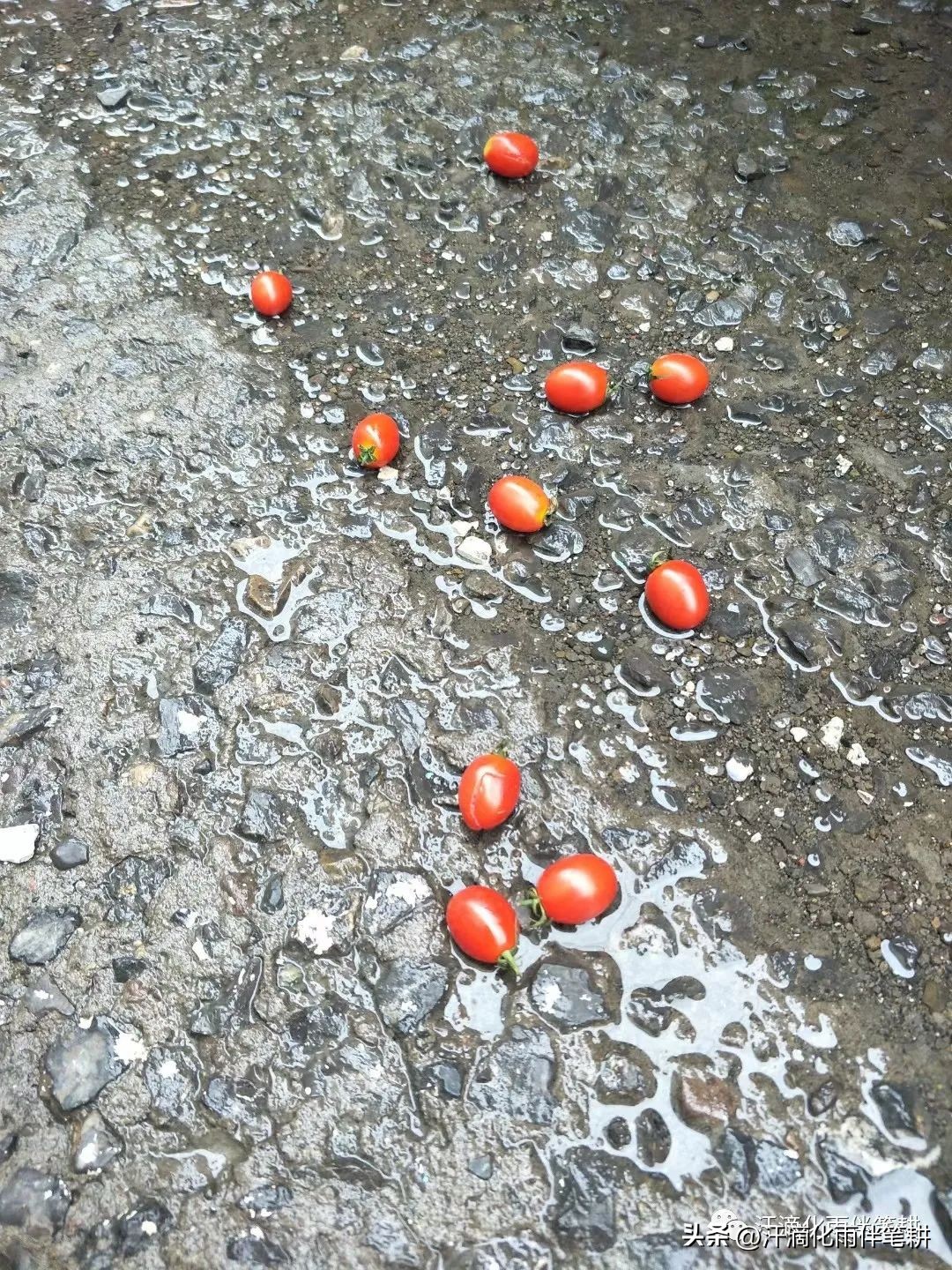 "Shanxi Qinyuan Li Zhilian" Original // Silent Autumn - iNEWS