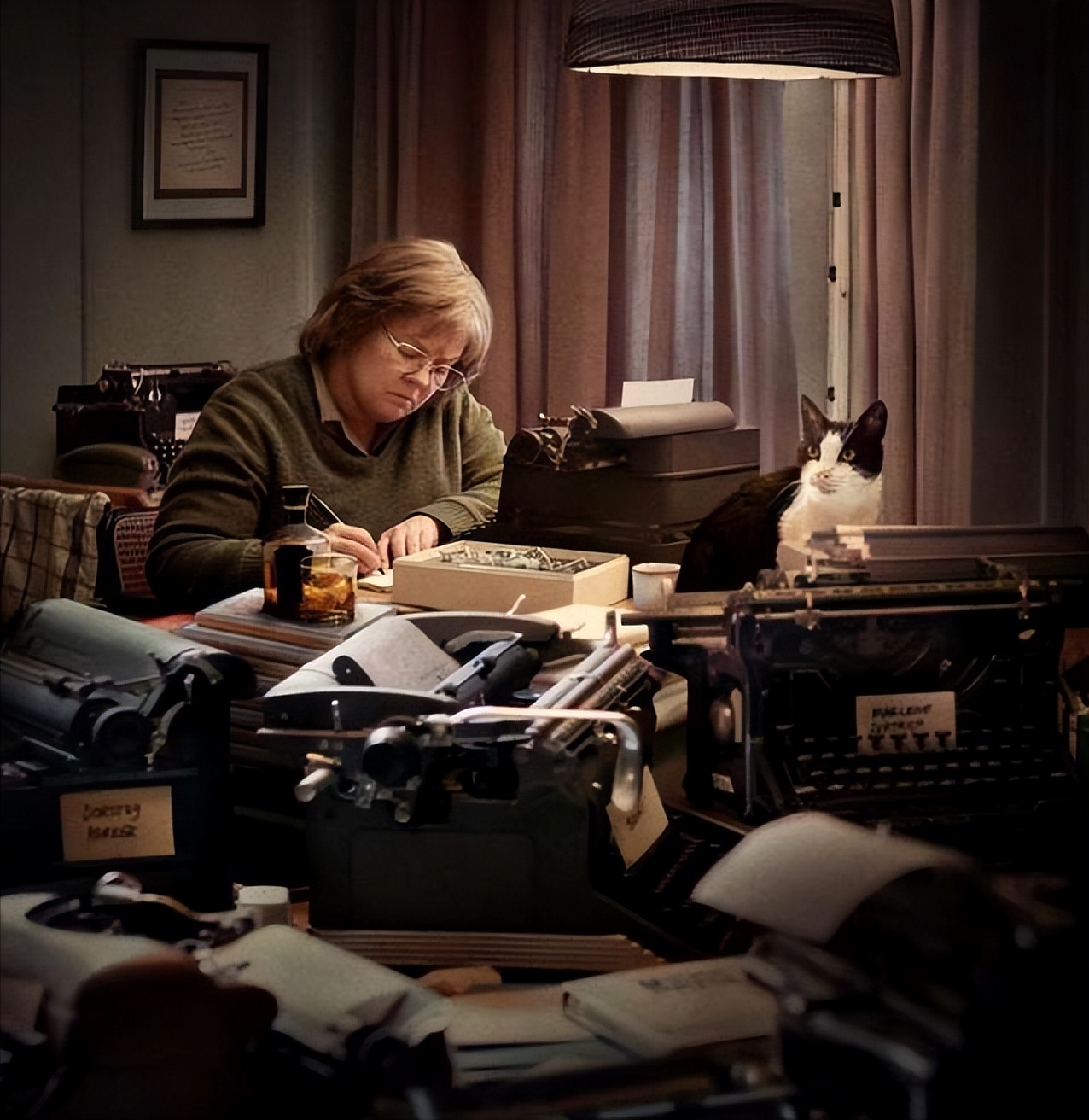 Moral, Ethical and Social Issues: The Film Can You Ever Forgive Me ...