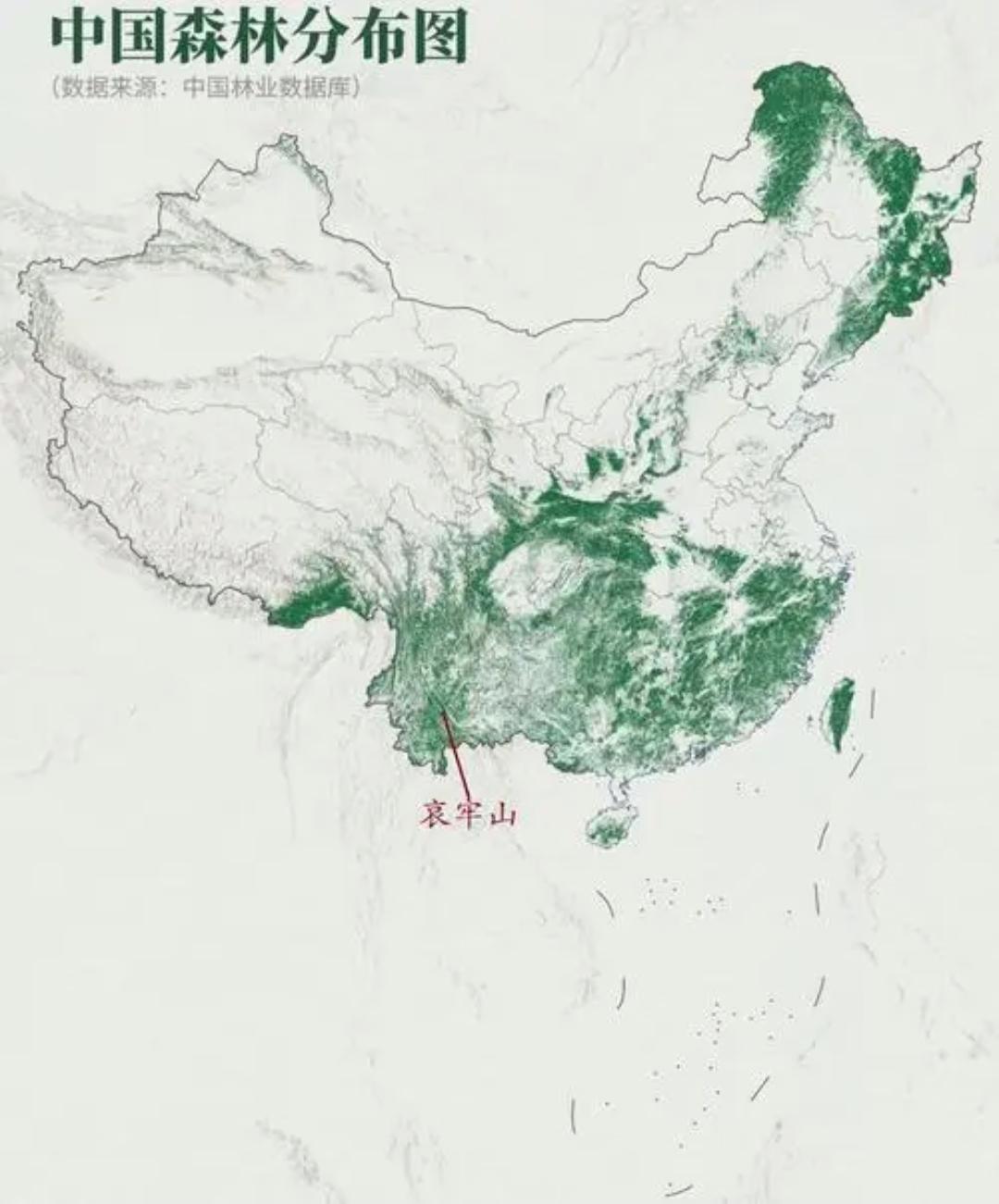 Are there virgin forests in China?Where are they mainly distributed ...