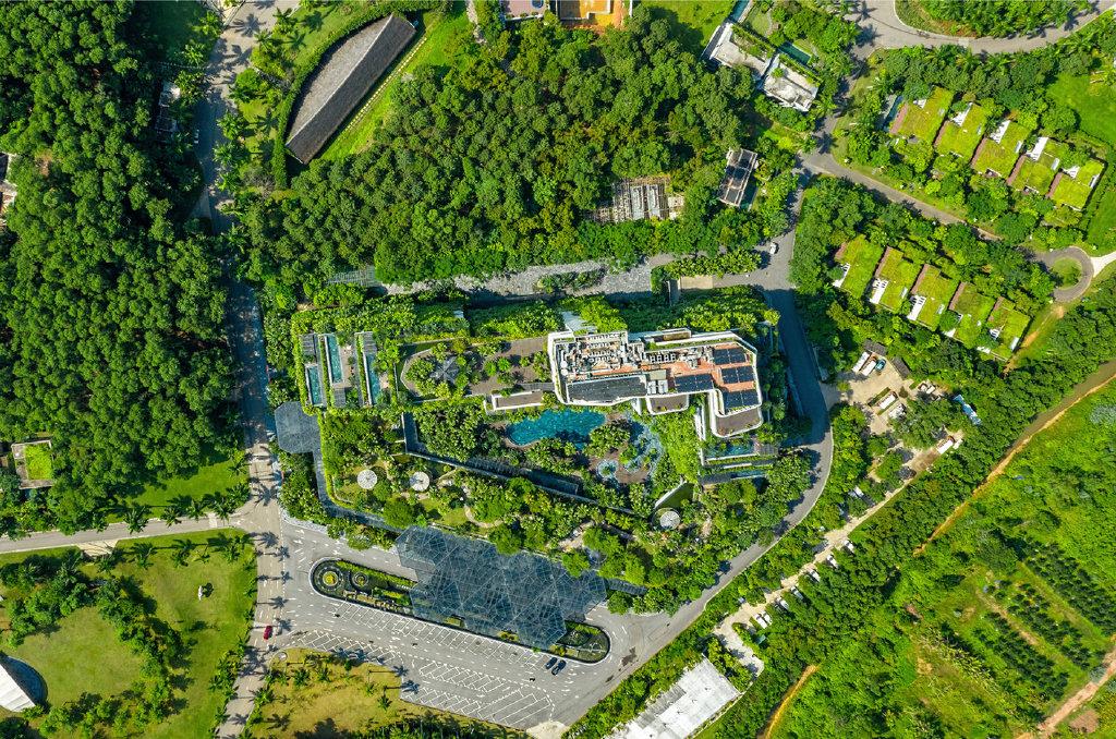 Urban plaza greening design and plant configuration - iNEWS