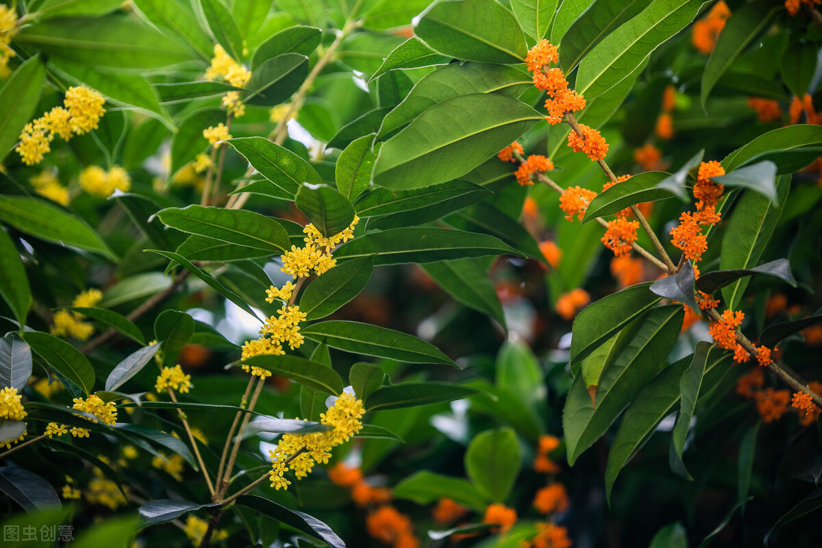 You are just passing by in the distance, the source of happiness lies ...