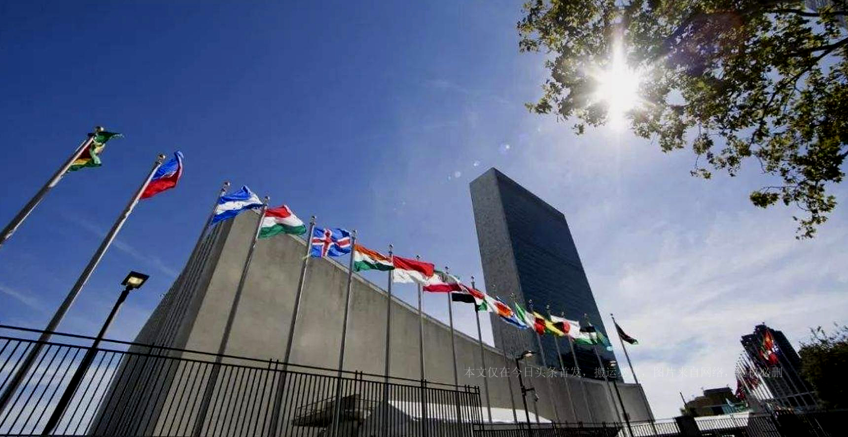 The UN General Assembly unanimously passed a resolution, and the veto ...