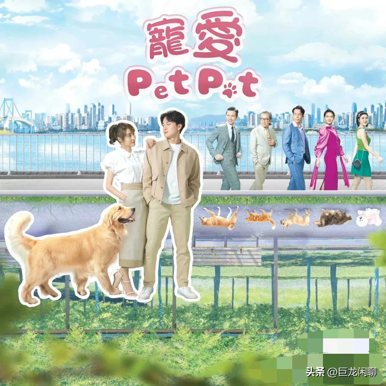 Spoilers for episodes 1-5 of TVB's new drama "Love PetPet", Lin Xiawei and Zhou Jialuo enter the ...