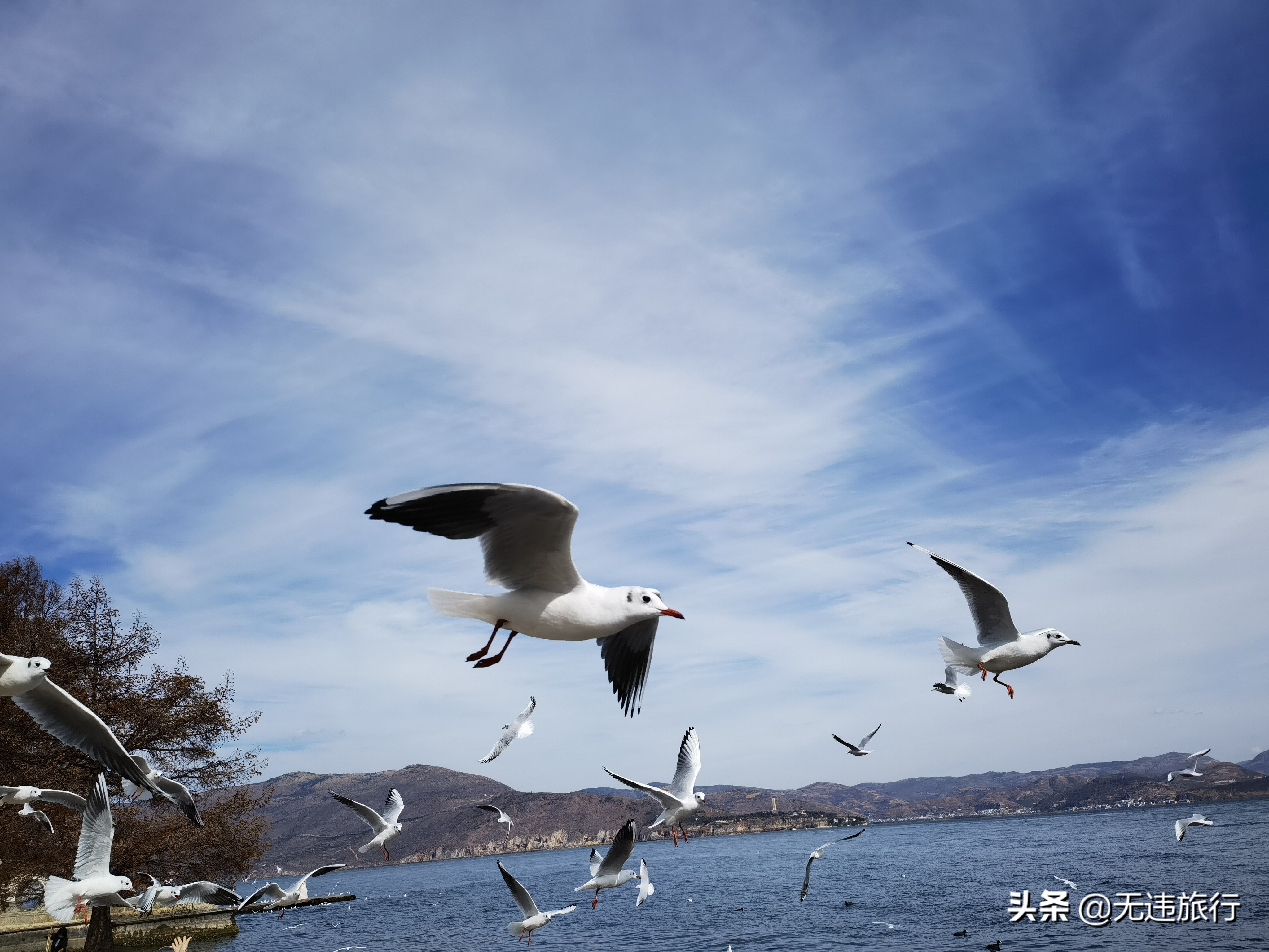 The beautiful view of Erhai Longkan Wharf!The most beautiful "Dali ...