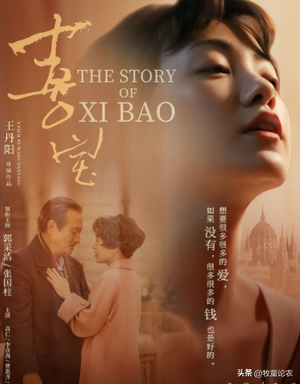 The cultural conflict and cross-cultural communication in "Xibao", the ...