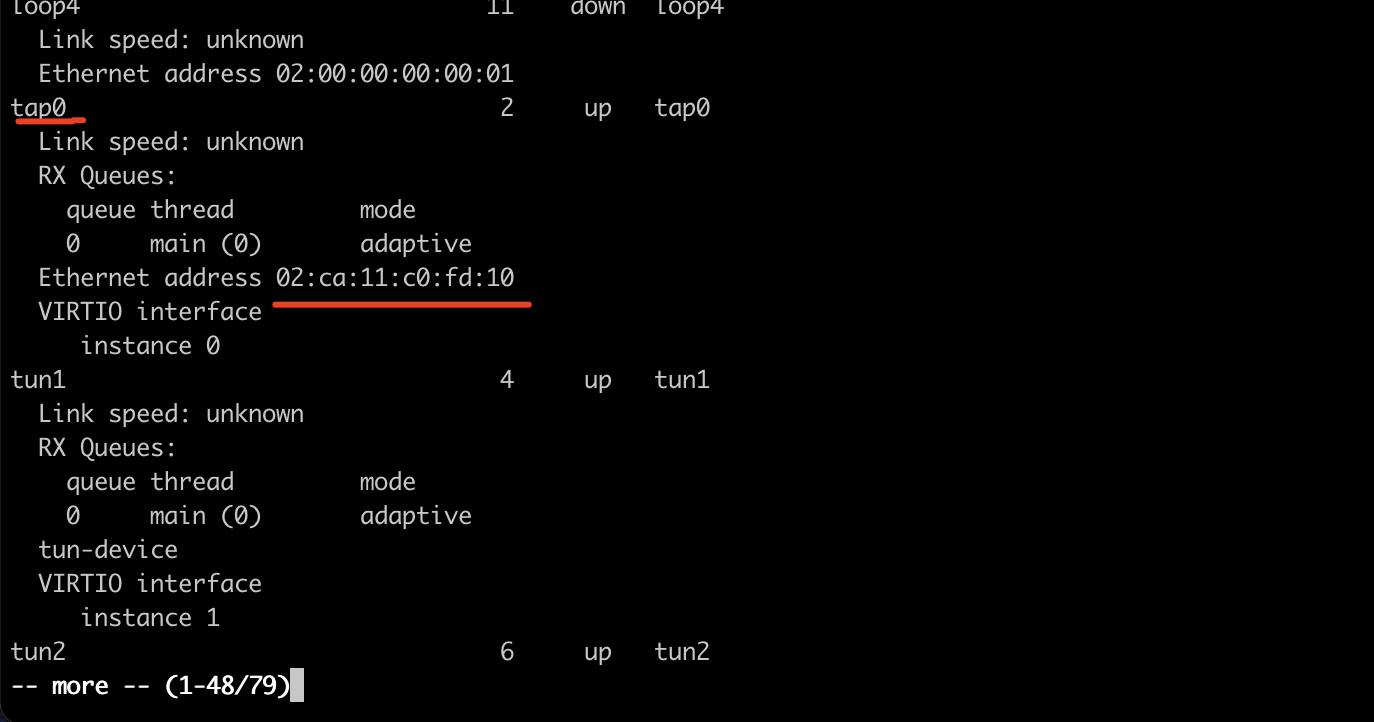 「技術乾貨」calico VPP dataplane - 頭條匯