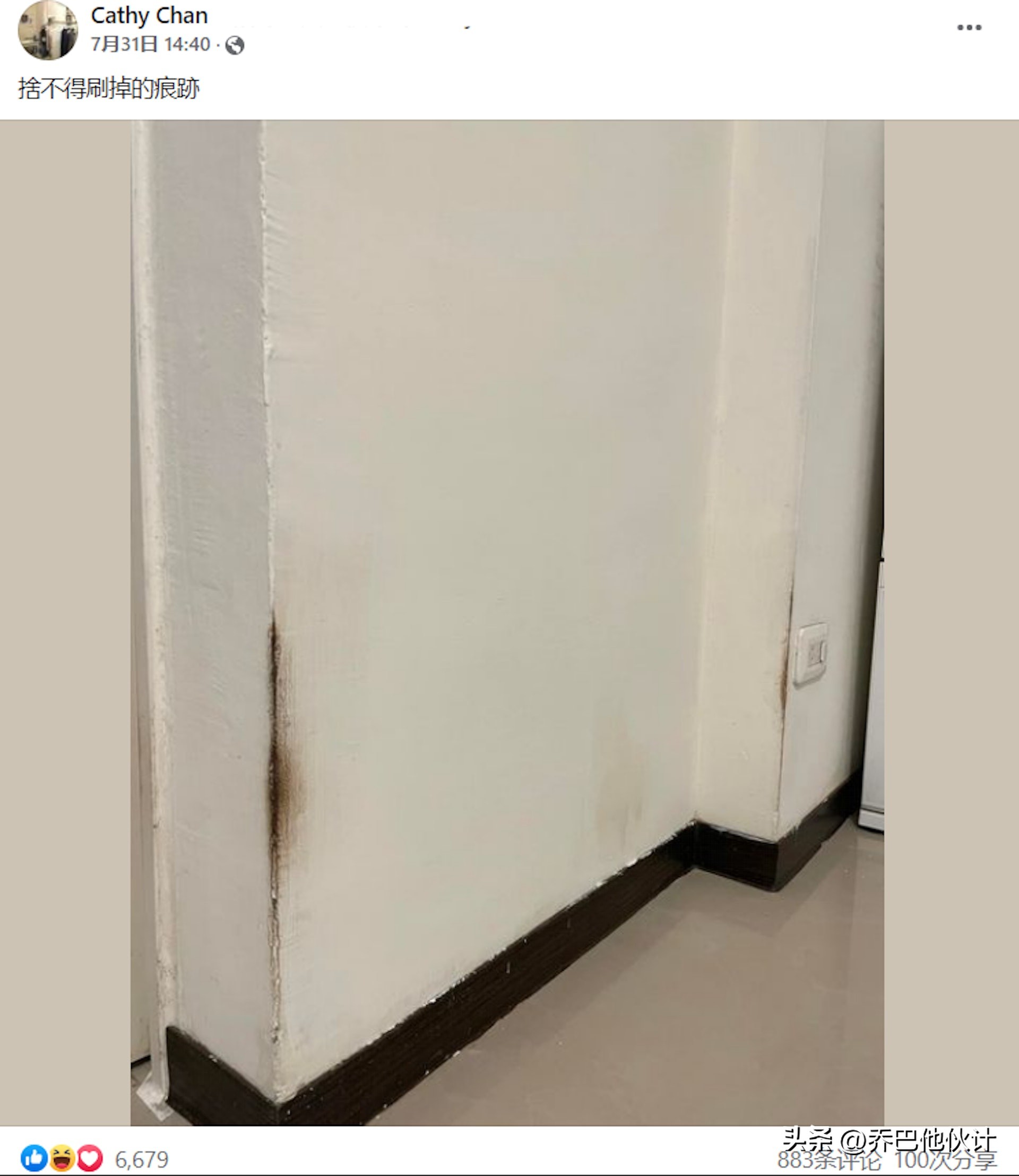 After the cat died, the stains on the walls were reluctantly wiped off ...