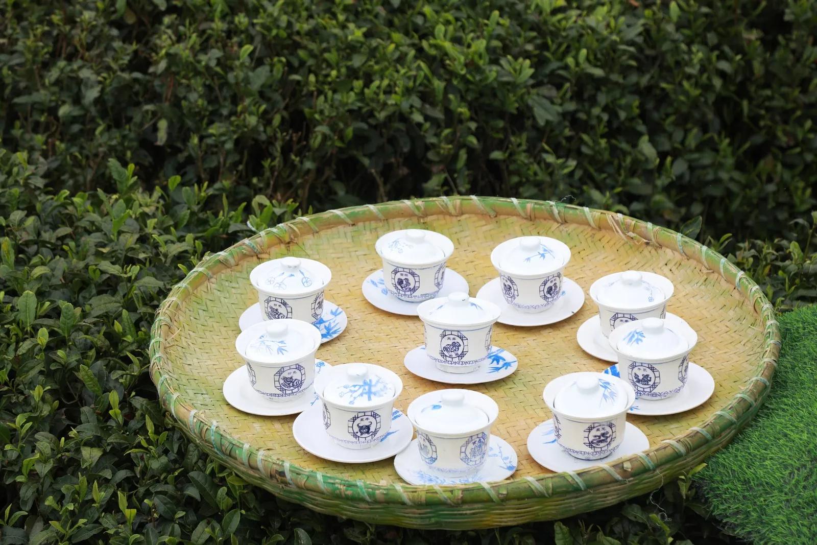 High mountain clouds produce good tea Tea gardens above the clouds ...