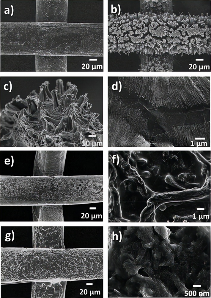 Graphene hydrogel textile electrode, realizing highly flexible and ...
