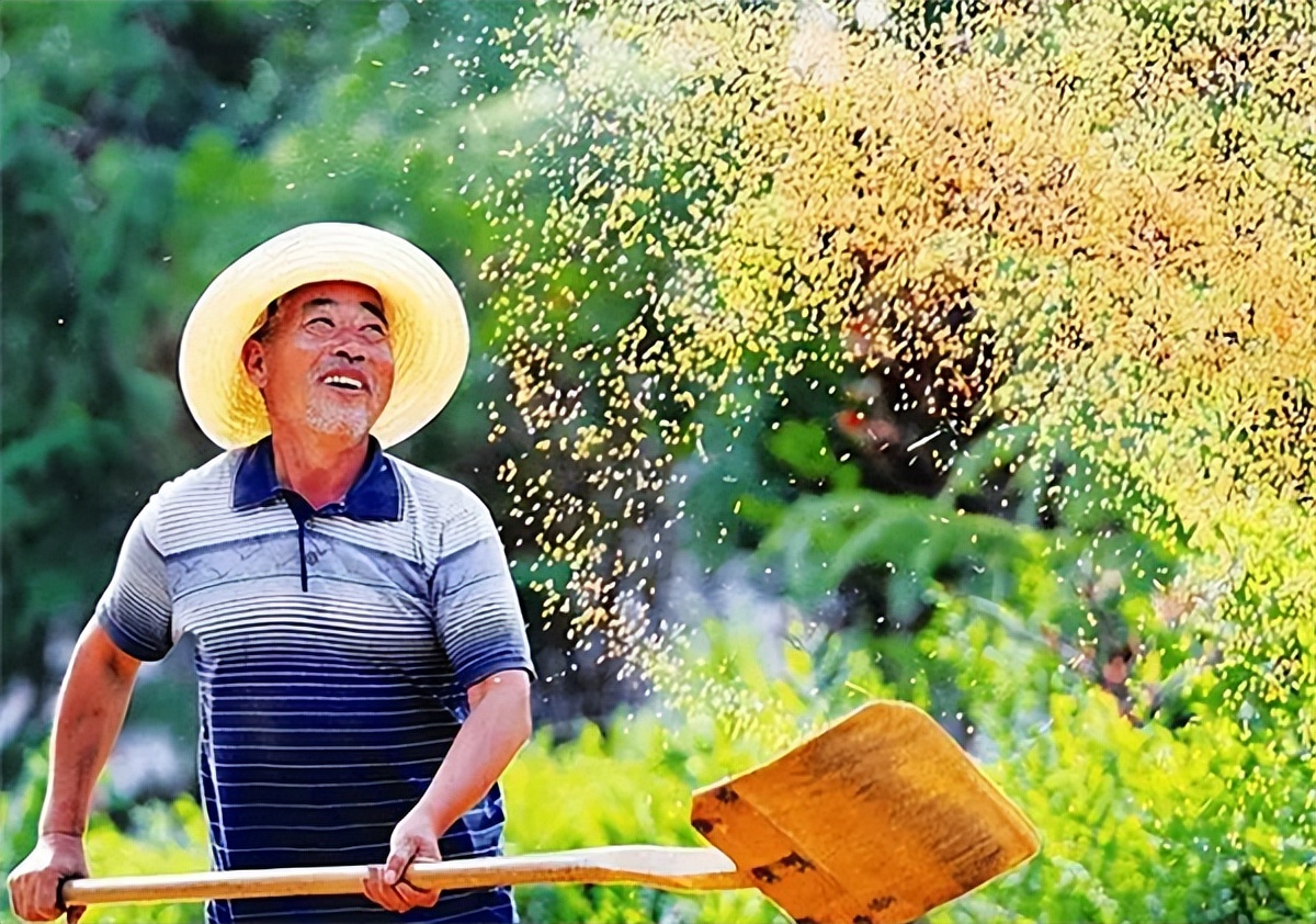 As the saying goes, "Two springs a year, the one with hair is as ...