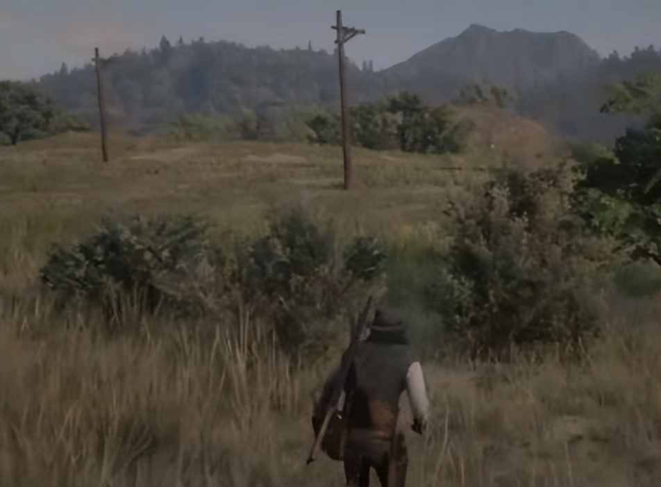 Red Dead Redemption 2 Bison Hide Locations - iNEWS