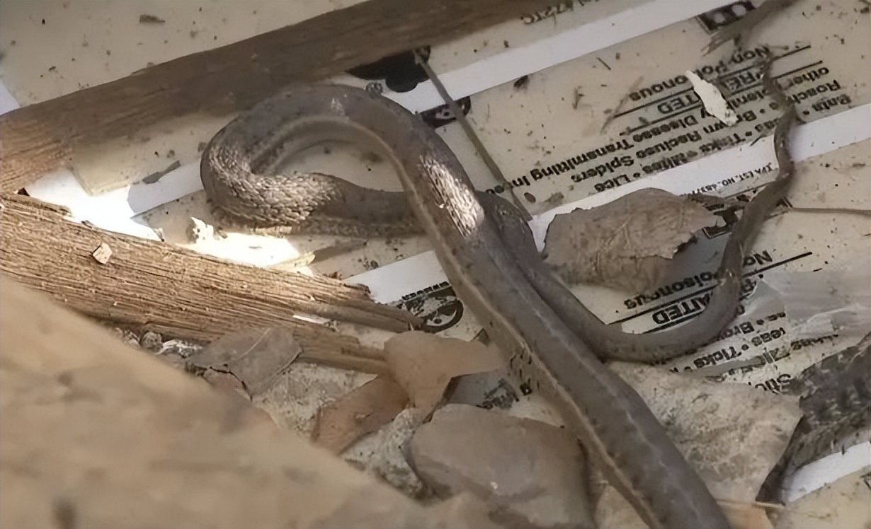 Woman buys a house, hoping to usher in a new life, unexpectedly there ...