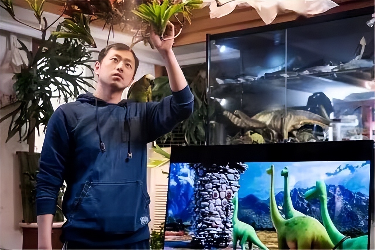 Wang Yuheng came out of the arena again, and his handsome appearance ...