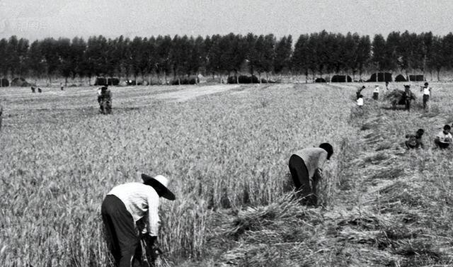 Before liberation, an underground party member was about to step into ...