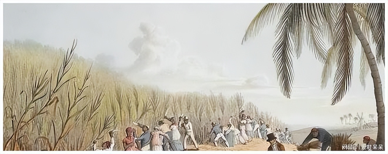 The Evolution of Slavery in Brazil: The Slave Trade and Social Change ...