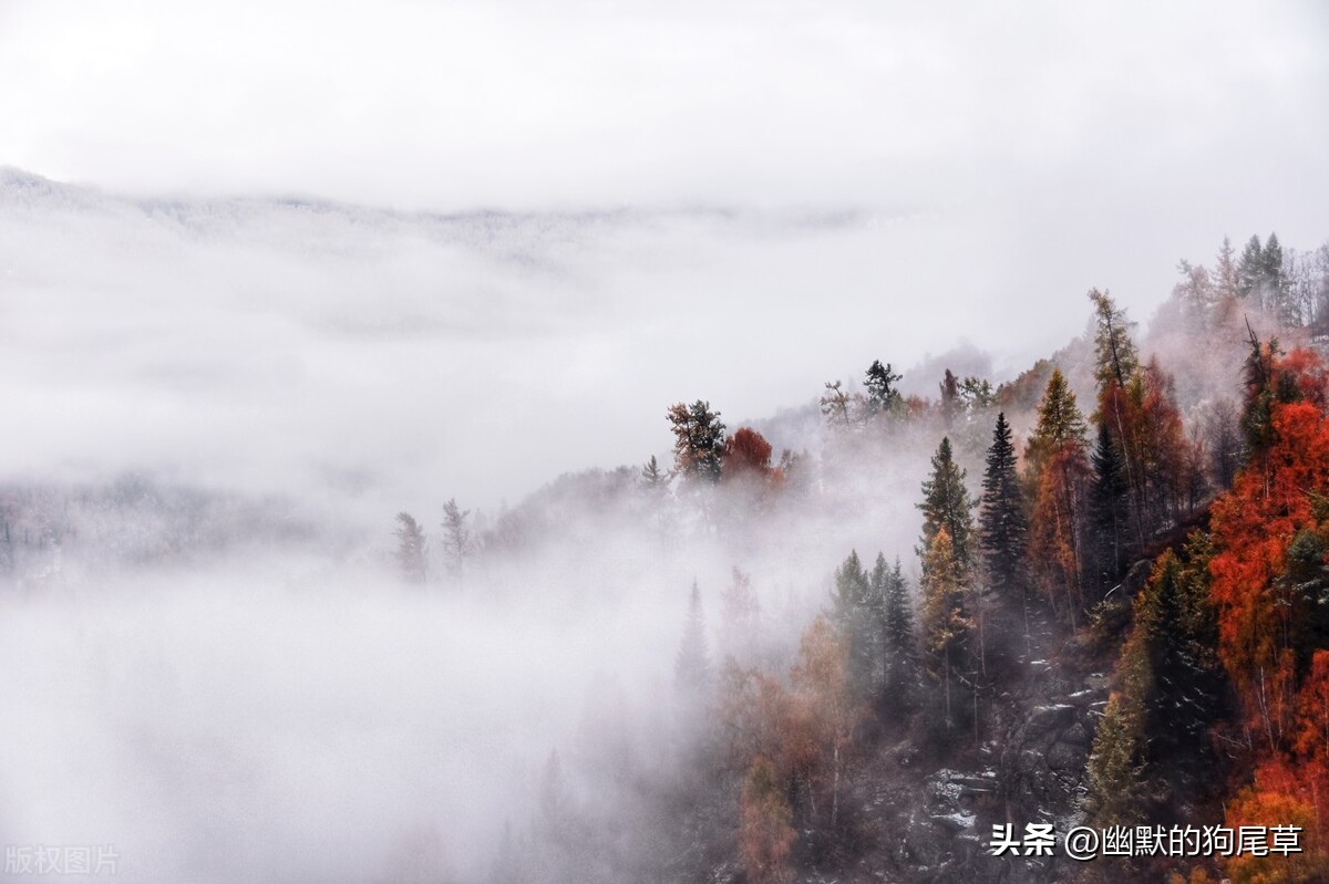 Do you know why it is said that "Tang Poems, Song Ci, and Yuan Opera ...