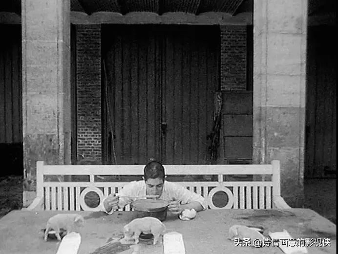 Scale, abnormal, heavy taste, interracial love, the director of this ...