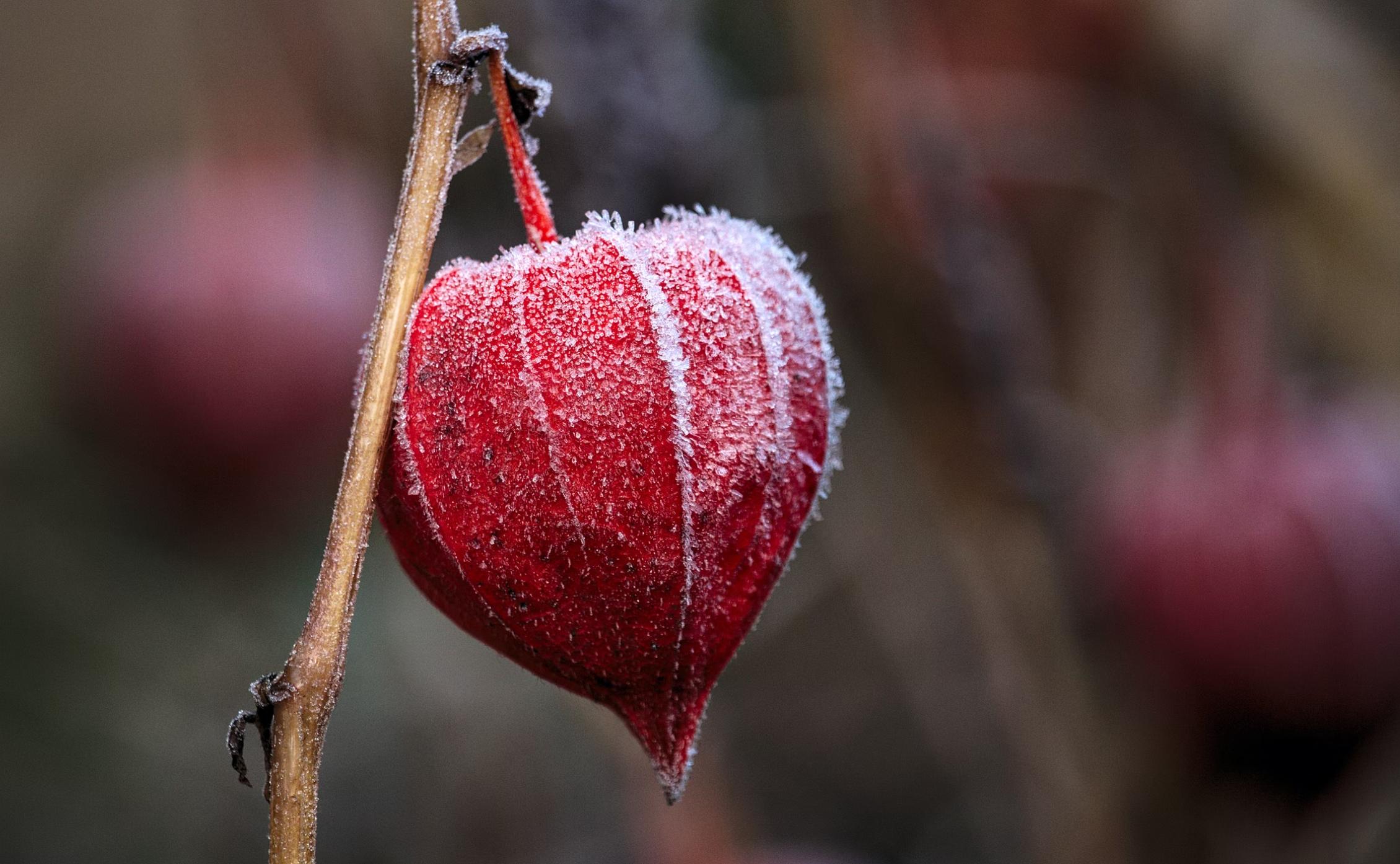 Very cunning, people can't see through the constellation, they can be ...