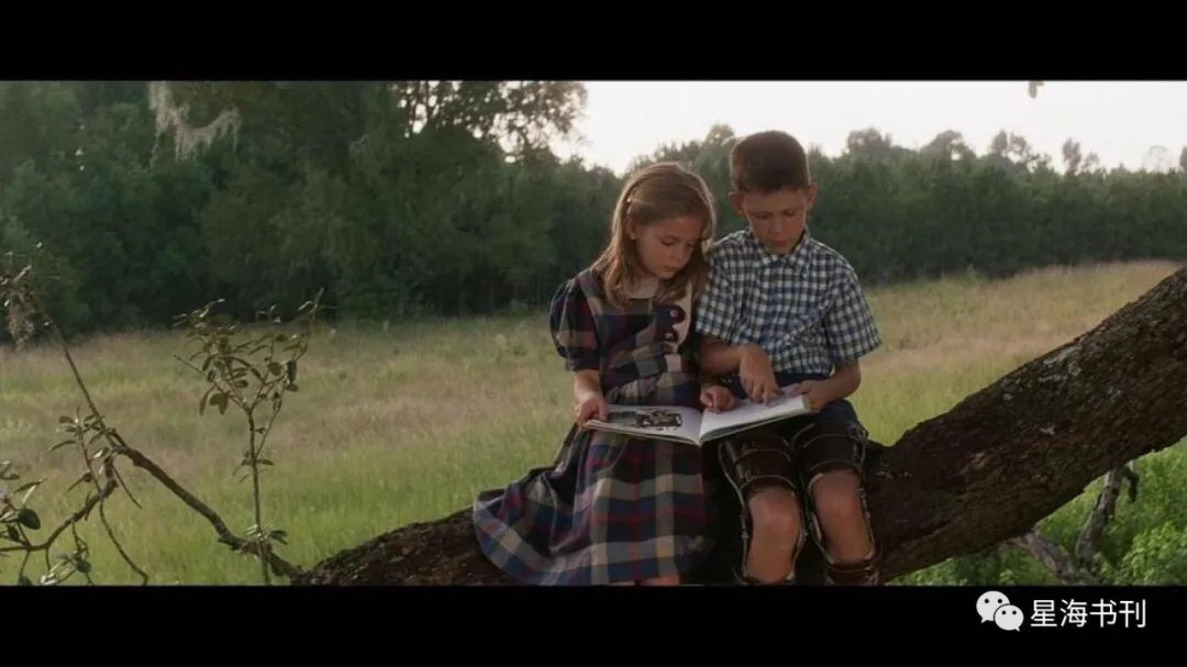 Forrest Gump, an inspirational journey - iNEWS
