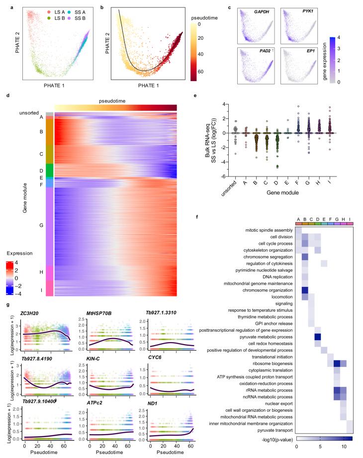 do you know?Parasites can also do single-cell transcriptome analysis ...
