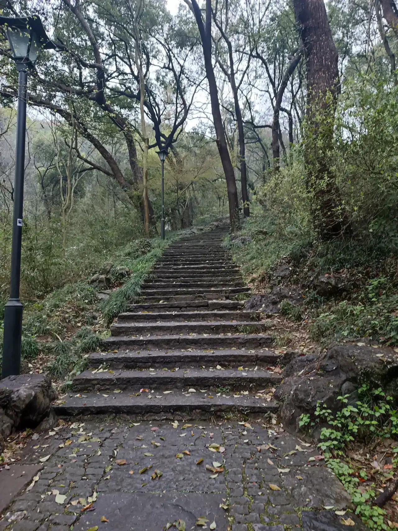 Travel Hangzhou with me——Jade Emperor Mountain in the rain - iNEWS