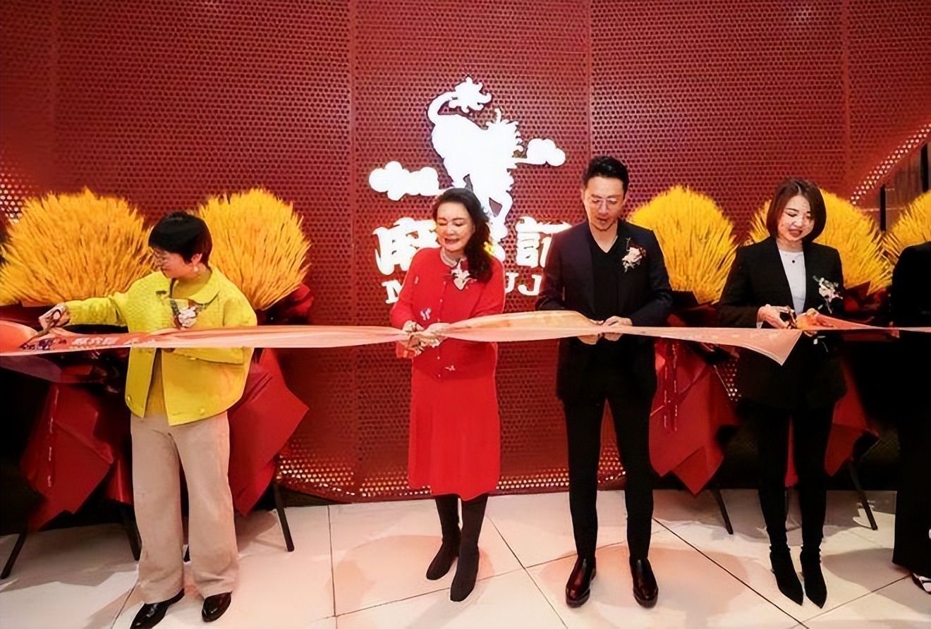 Wang Xiaofei did not live up to expectations, and his brand "Maliuji ...