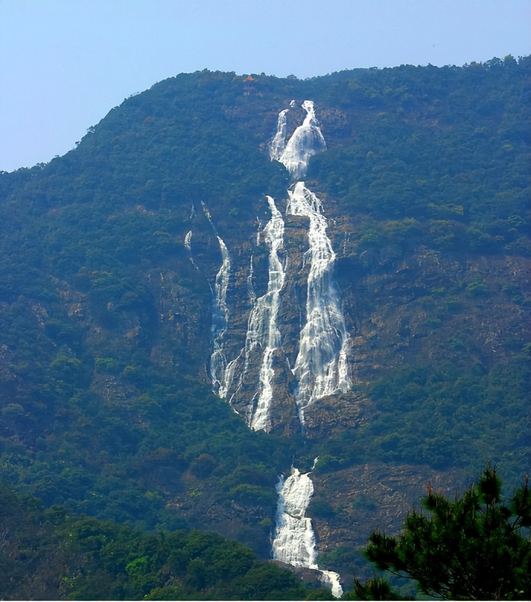 Bai Lian flies like a rainbow, Bai Narcissus falls to the world - iMedia