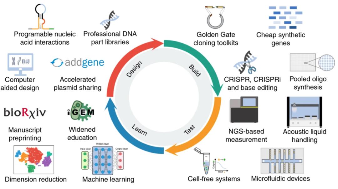 Synthetic biology technology opens new path to reduce plastic pollution ...