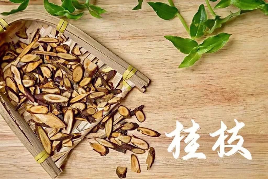 Blindly tonify yang as the key medicine, tonify spleen yang, strengthen ...