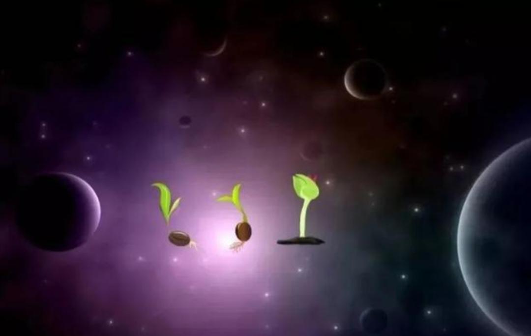 Technology and the future: a new trend led by space breeding - iMedia