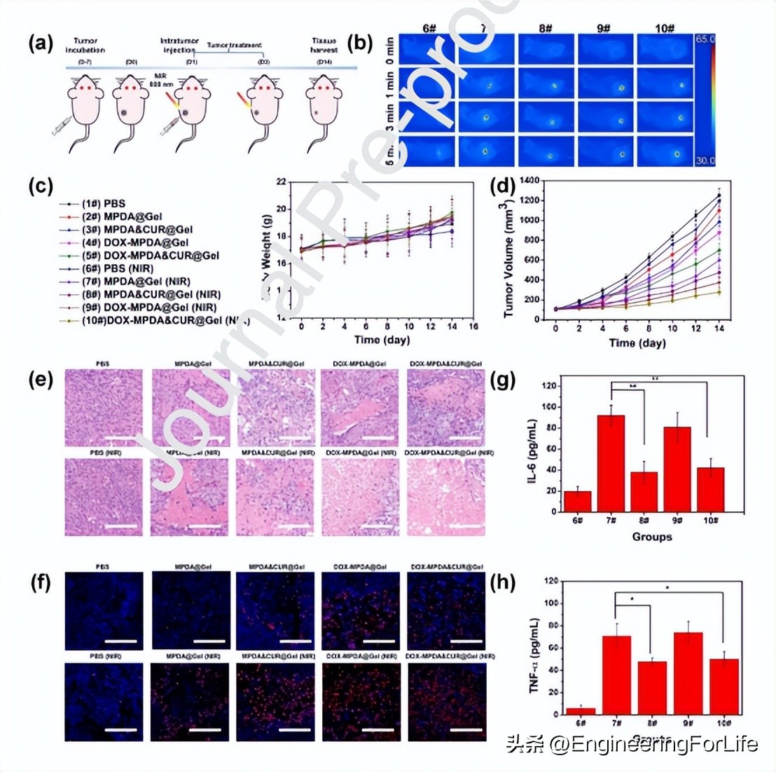 Injectable nanocomposite hydrogel alleviates inflammation while ...