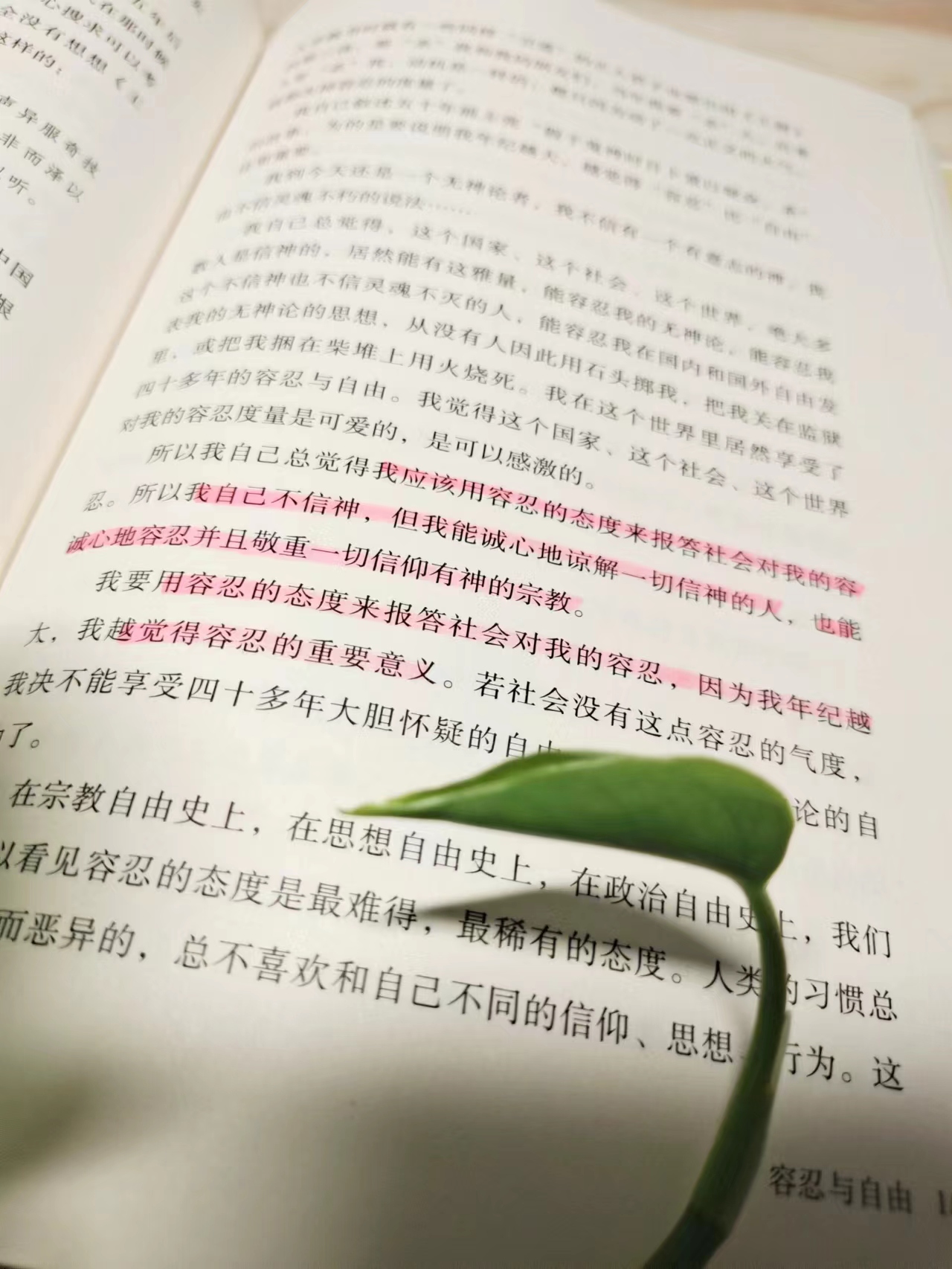 "Awakening Moment"|Youth, wake up! - iNEWS