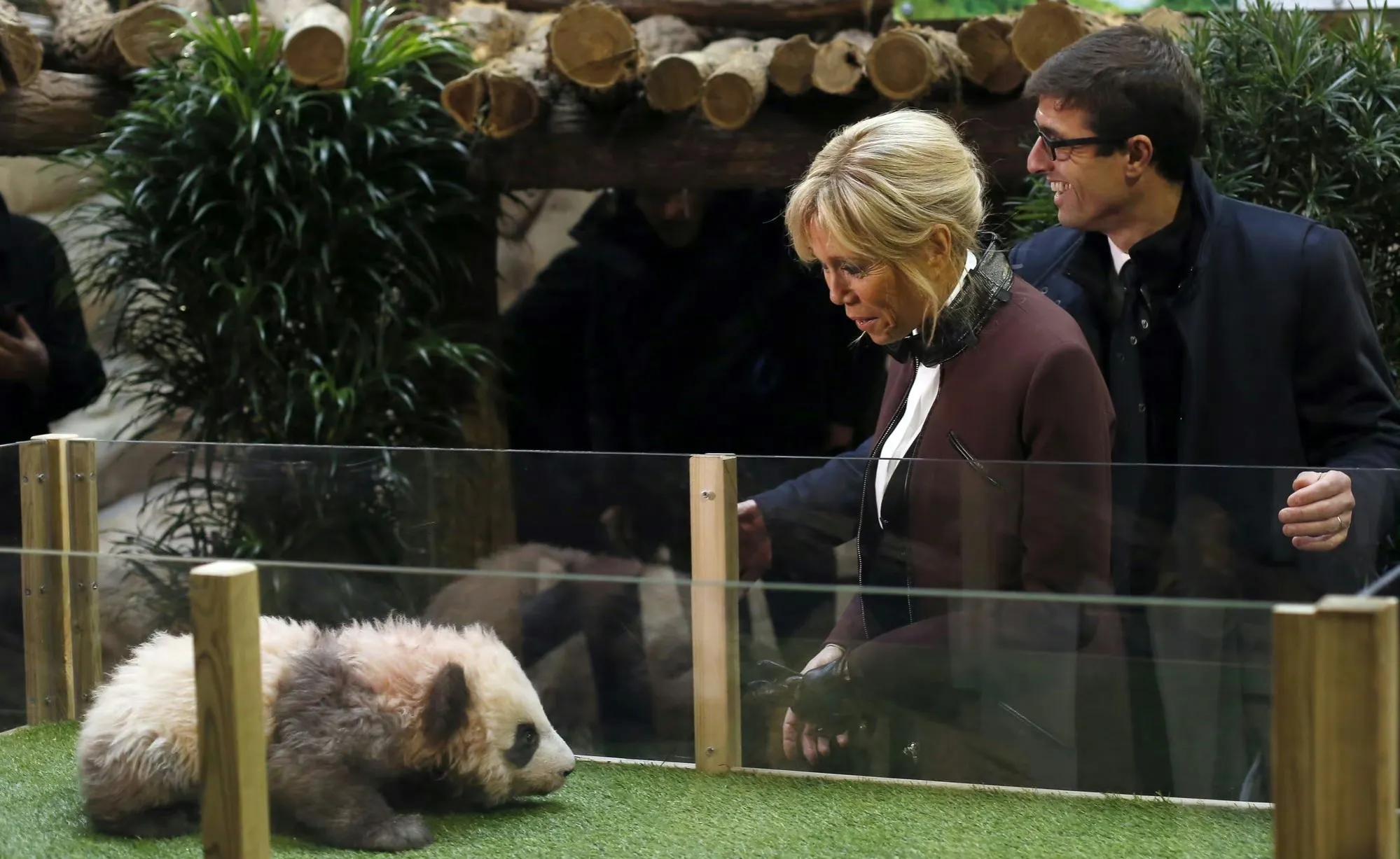 The Panda Dream Comes Back to China, French President's Wife Brigitte ...