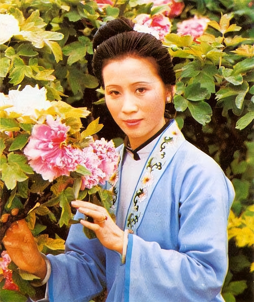 Dream of Red Mansions guessing puzzles, Baochai's sentence implies that ...