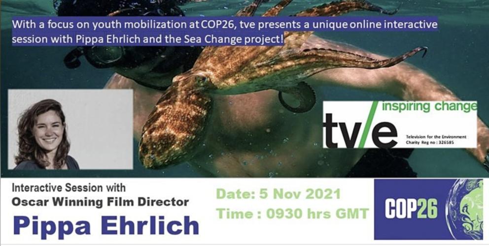 An analysis of the aesthetic implications of the ecological documentary ...