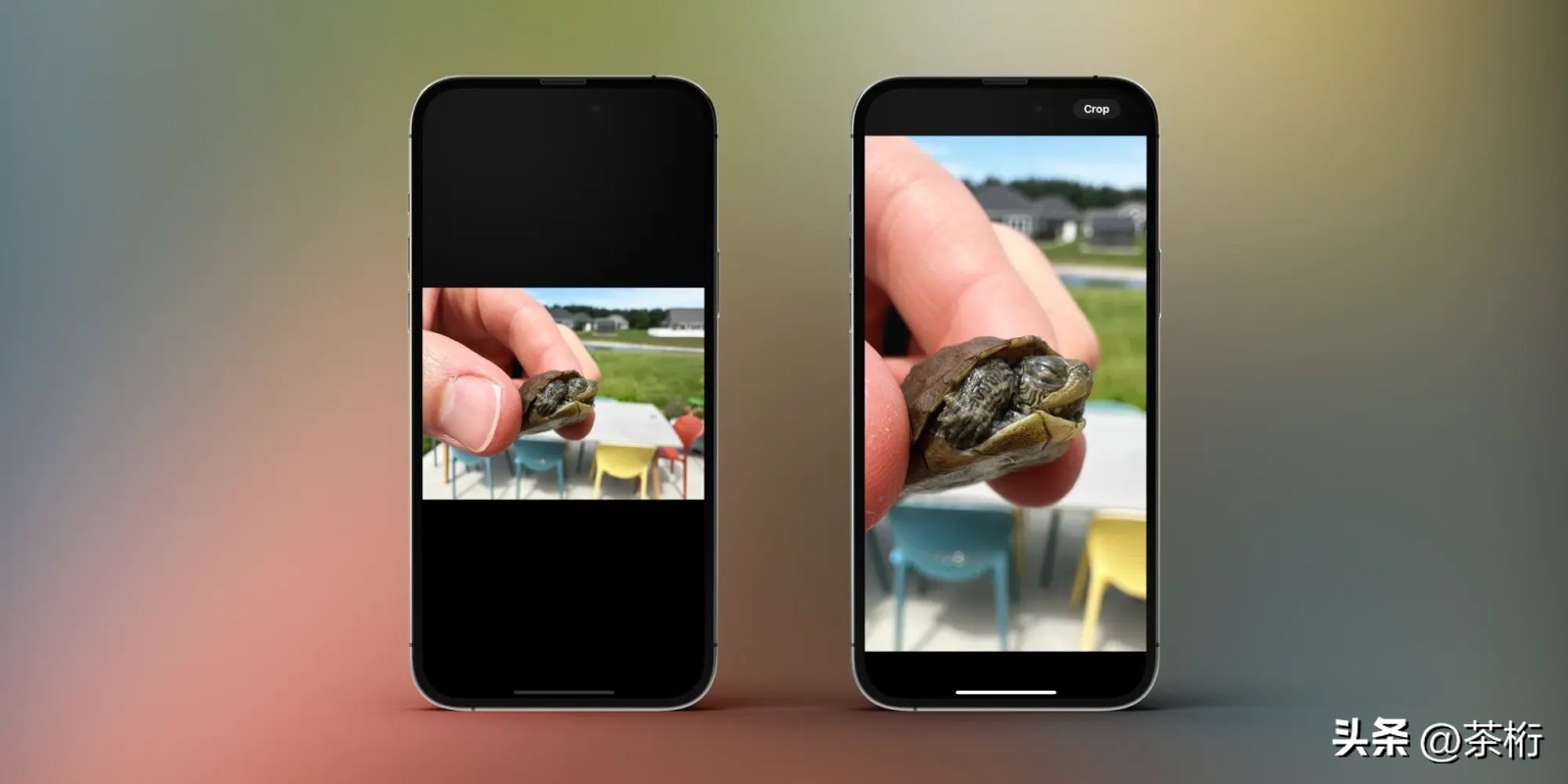 Here's how to use Quick Crop on the iPhone's Photos app in iOS 17 - iMedia