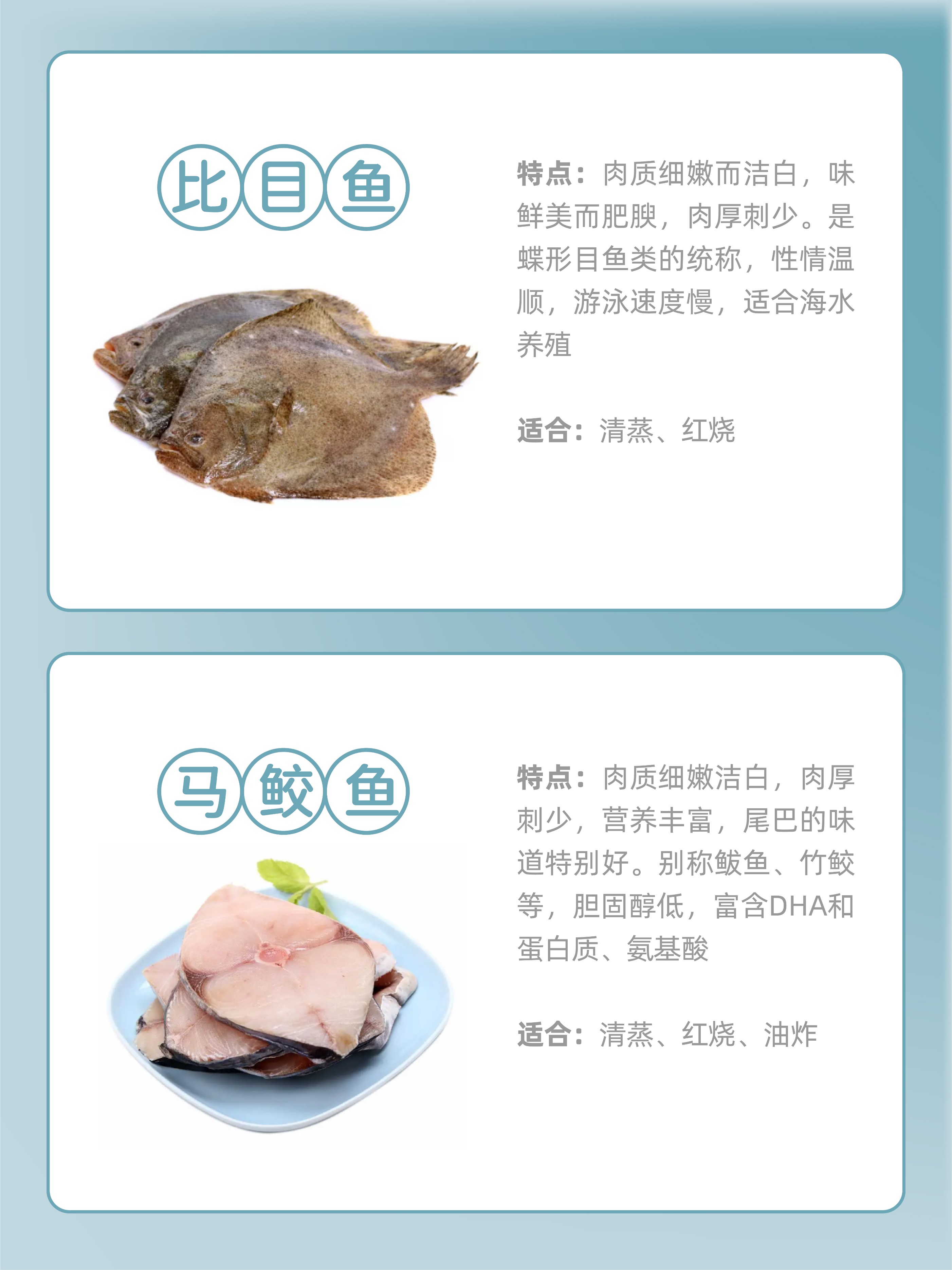 Types and characteristics of common marine fish - iNEWS