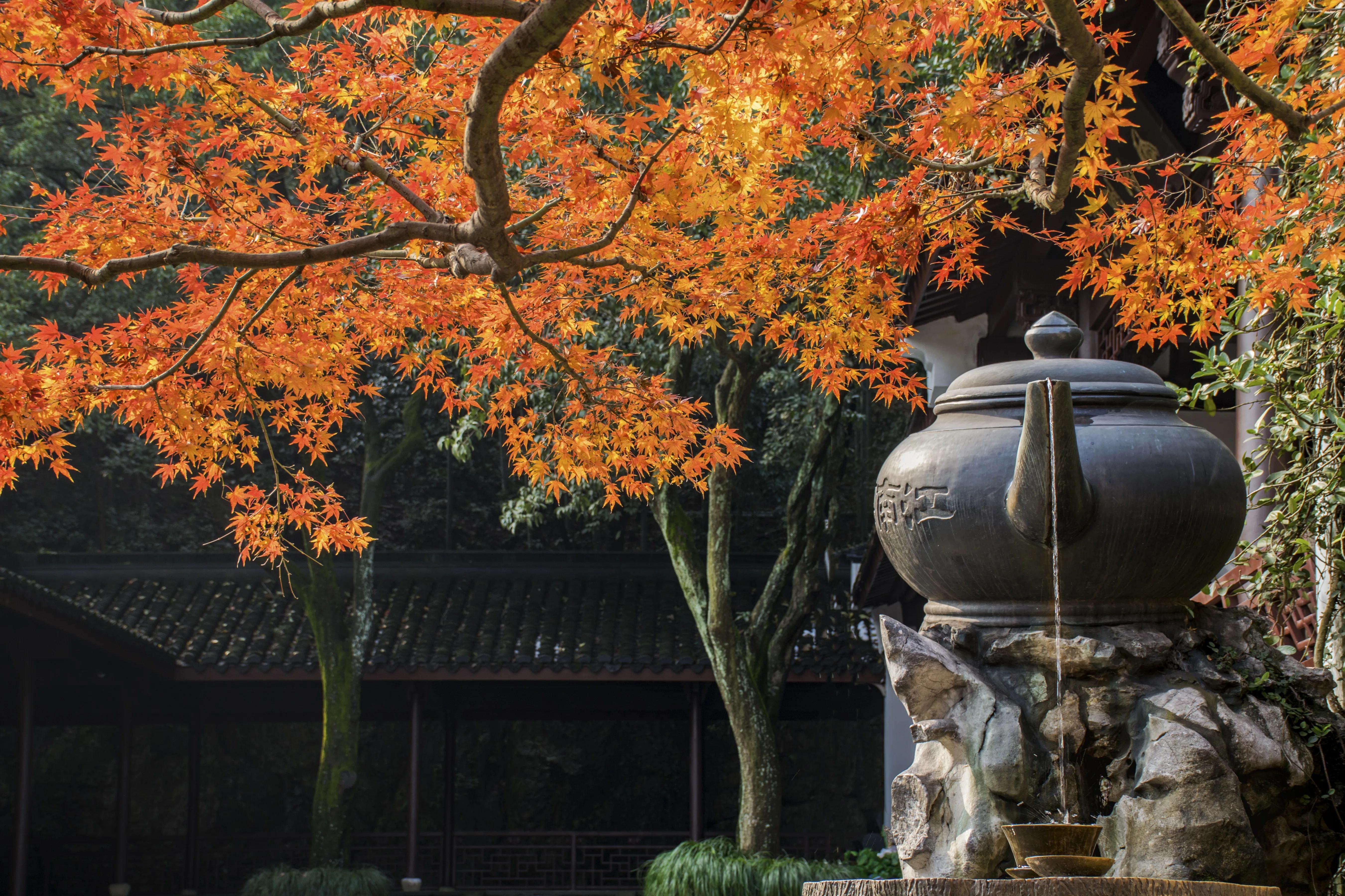 Hupao Park, "the third spring in the world", buried three masters - iNEWS