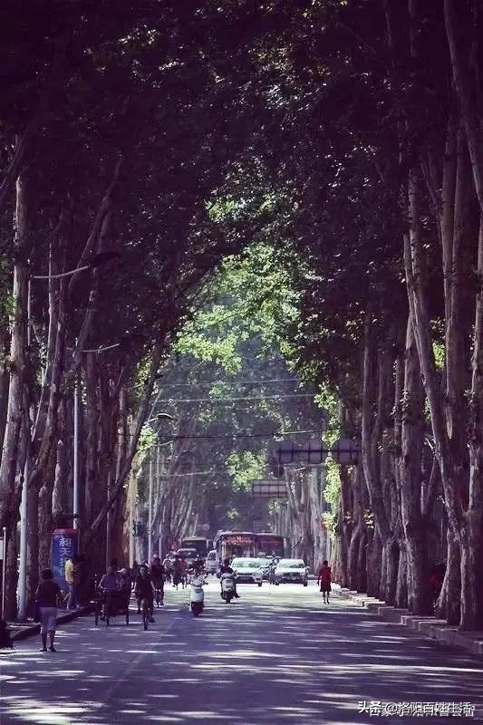 Jianxi "drunk" Meixiyuan Road - iNEWS