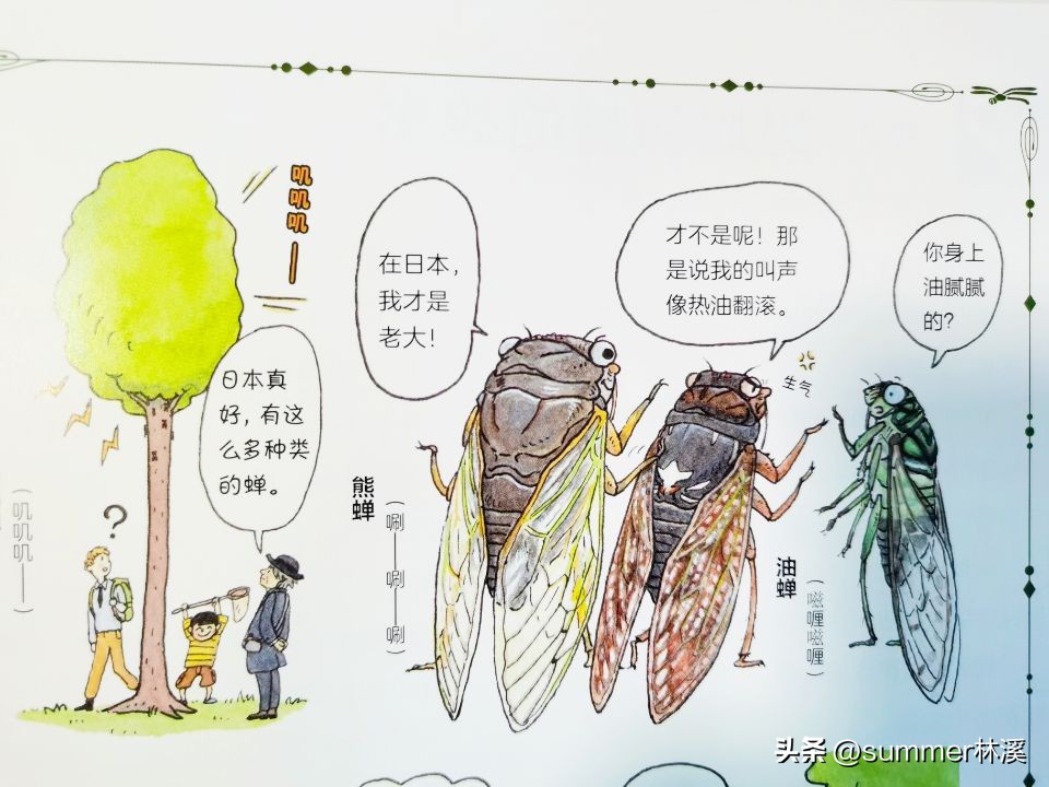 The world of insects is far more interesting than you think, and this ...